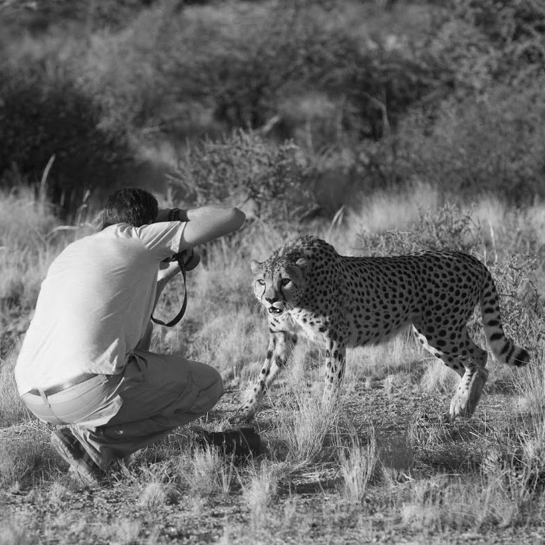 James Gradwell – Products – Living Canvas Decor Wall Art | Photo Prints ...