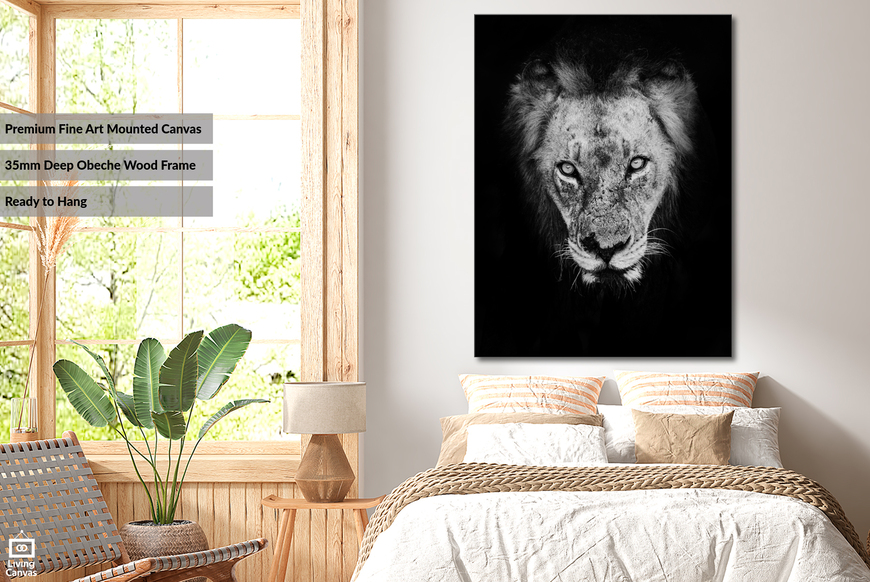 Mr T (Mohawk) the Mapogo Lion Warrior • Framed & Mounted Canvas Wall Art