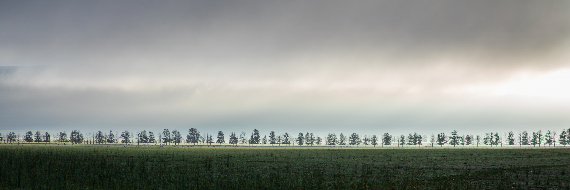 Riaan Swart – Products – Living Canvas Decor Wall Art | Photo Prints ...