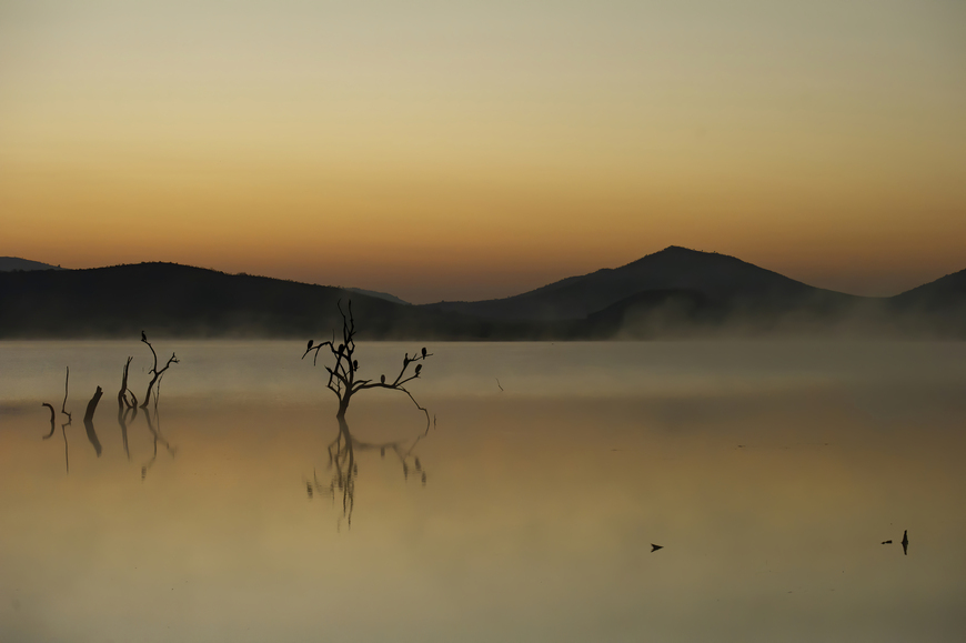 Winter Morning on Mankwe Dam | African Landscape Wall Art Print