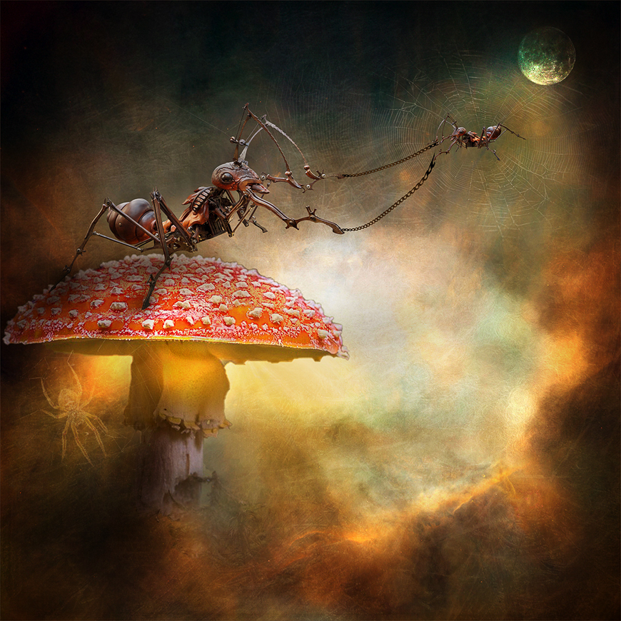 Ant Rescue • Fairytale Canvas Wall Art for Interior Design