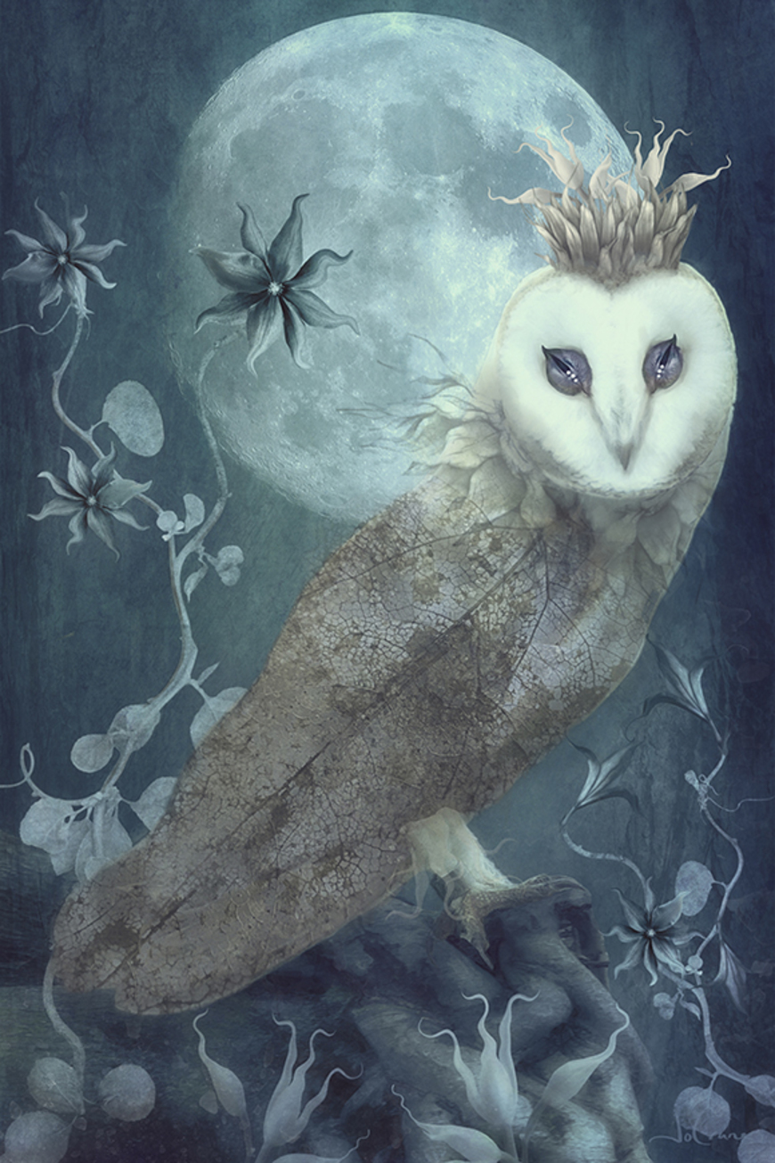 Midnight • Wall Art • Mounted Canvas & Framed Fine Art