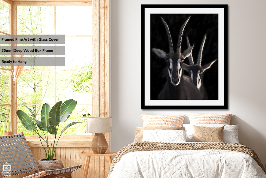 Sable • Bedroom & Home Canvas Wall Art Prints