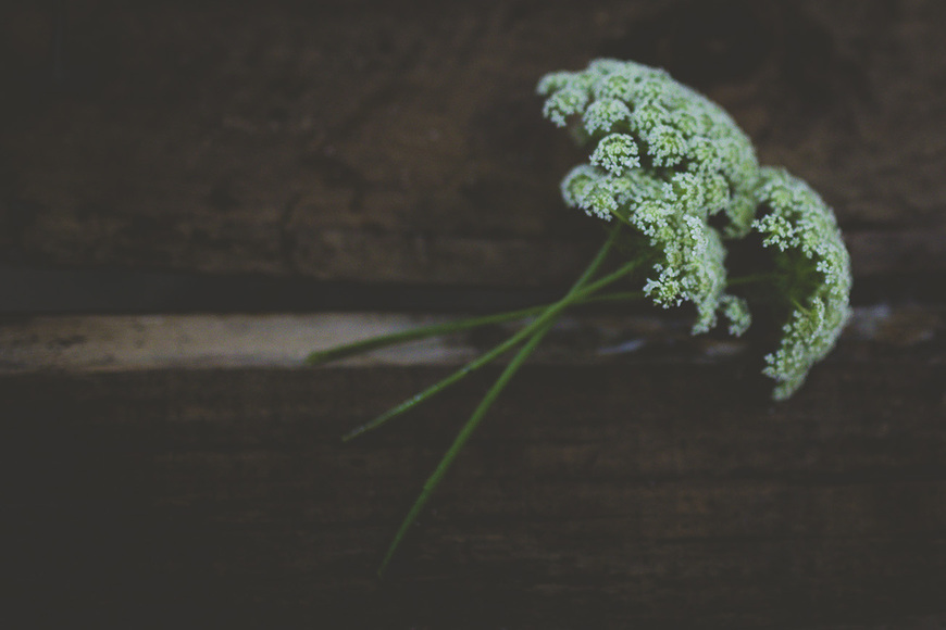 Left behind • Framed & Mounted Canvas Wall Art