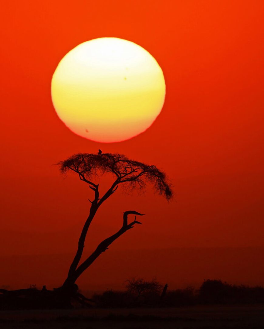 Magical African Sunset • Wall Art South Africa • Canvas & Framed