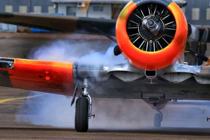 Etienne Coetzee – Products – Living Canvas Decor Wall Art | Photo ...